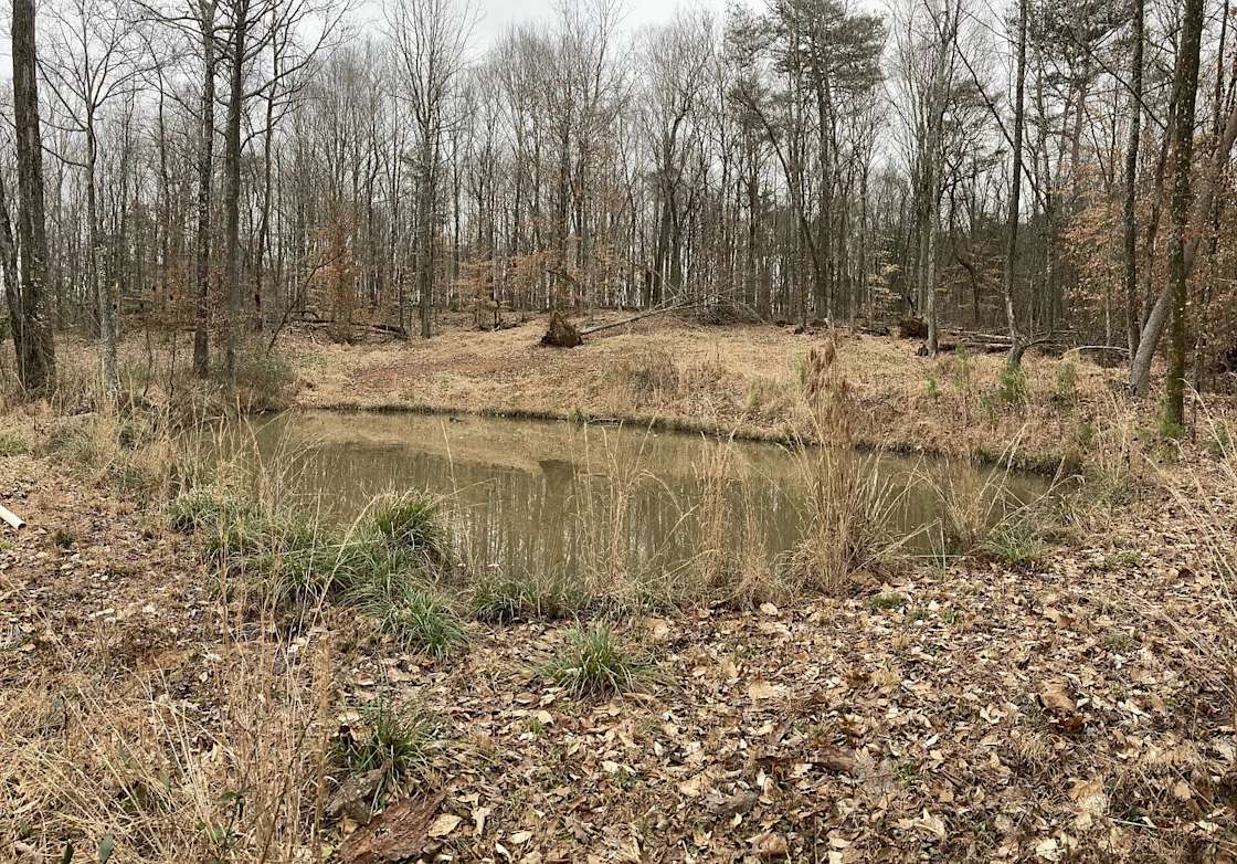 The Hole-Up at Hurricane Creek - Hipcamp in Tennessee Ridge, Tennessee