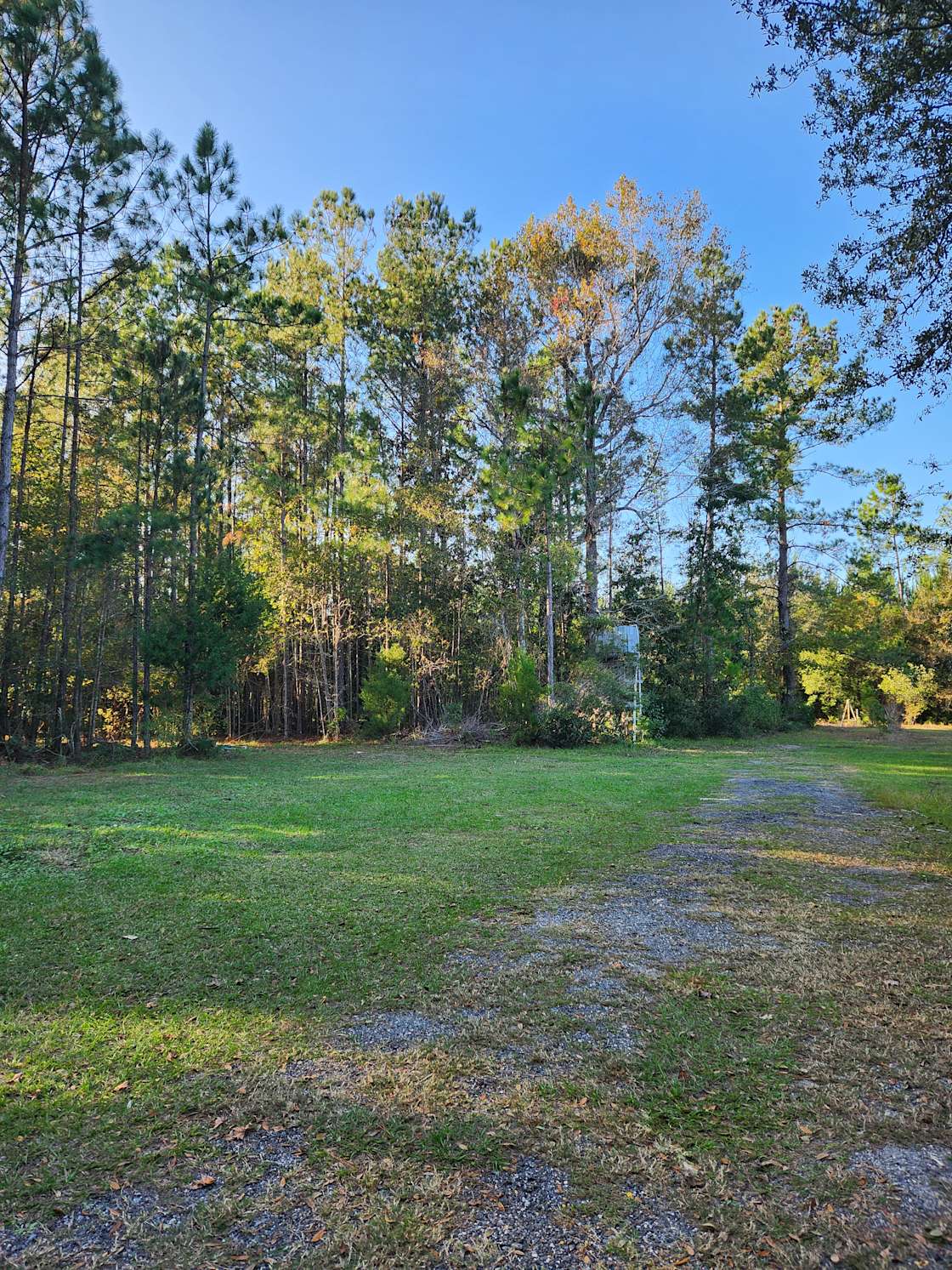 The Blueberry Ranch - Hipcamp in Yulee, Florida