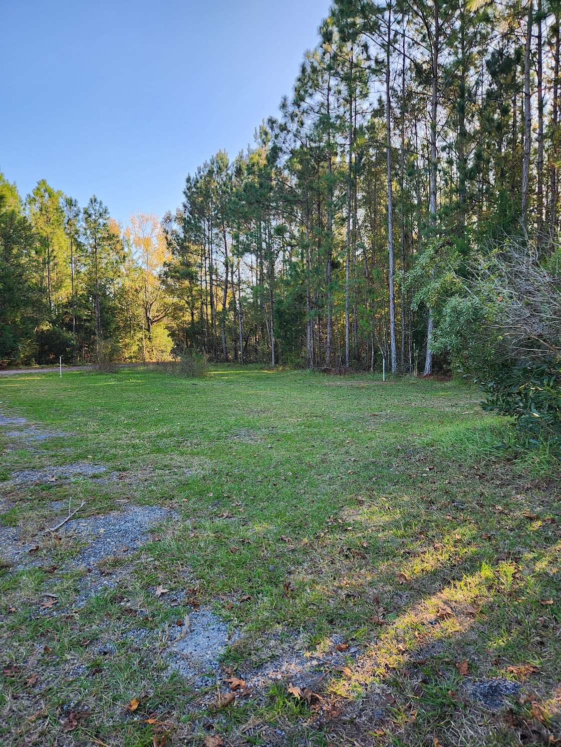 The Blueberry Ranch - Hipcamp in Yulee, Florida