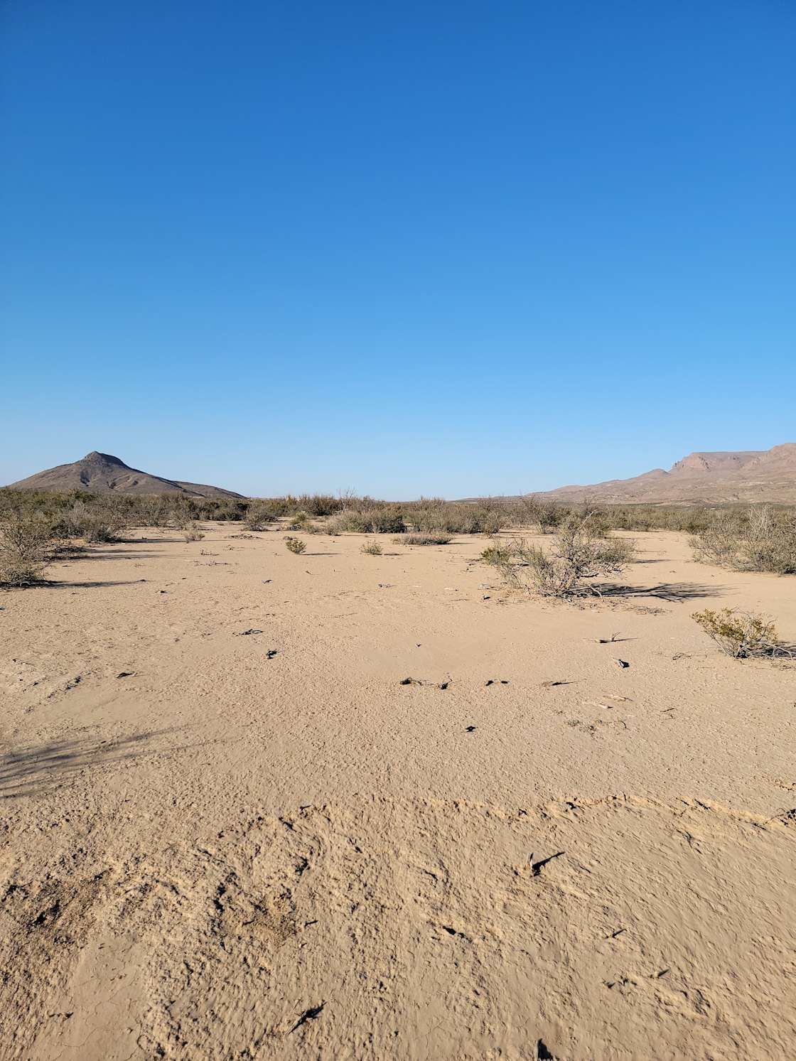 Red Bluff Ranch - Hipcamp in Study Butte, Texas