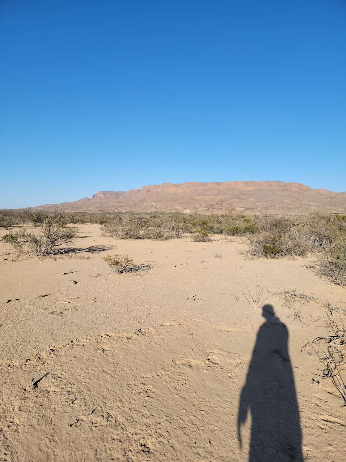 Red Bluff Ranch - Hipcamp in Study Butte, Texas