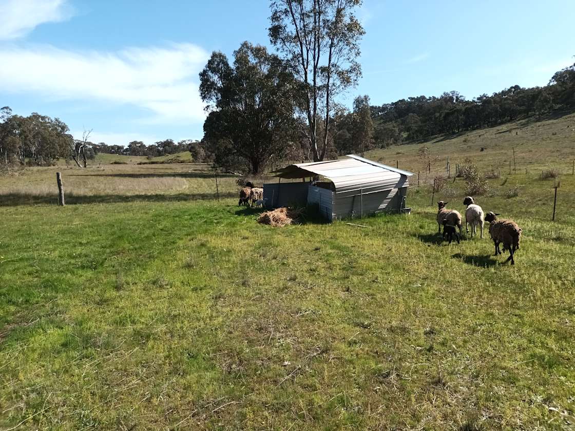 Redbank Camping - Hipcamp in Redbank, Victoria