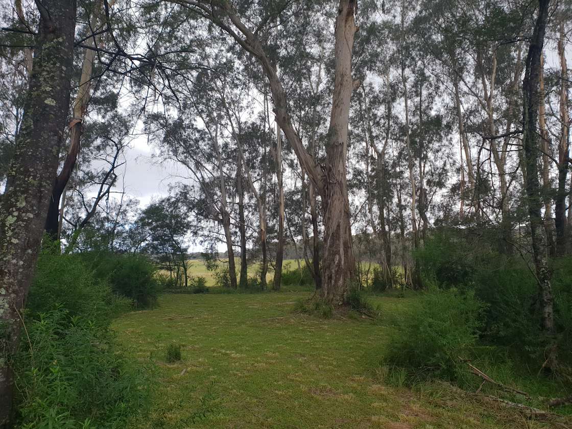 Brooman, on the Clyde River - Hipcamp in Brooman, New South Wales