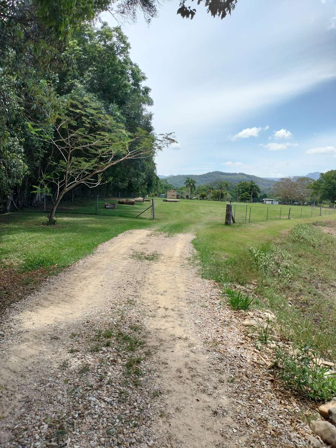 Jabiru Campground - Hipcamp in Murwillumbah, New South Wales