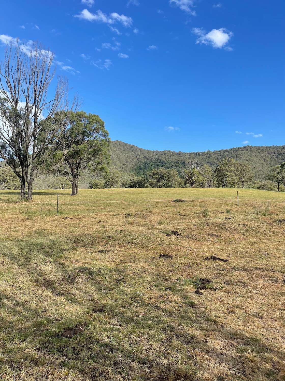 Kimblehurst - Hipcamp in Emu Vale, Queensland