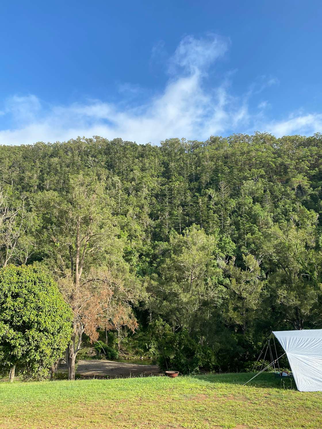 Yabba Creek Farm - Hipcamp in Imbil, Queensland