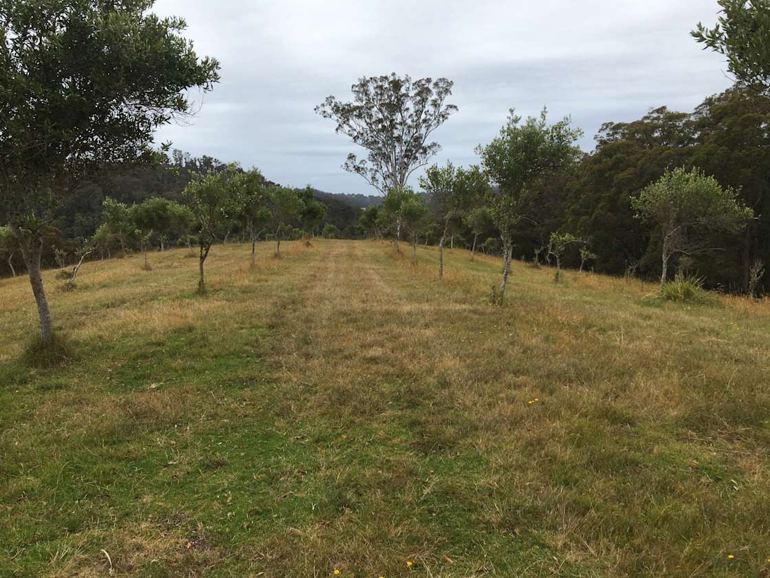 Pepper’s Farmstay South Coast - Hipcamp in Bega, New South Wales