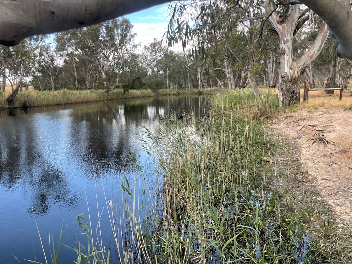 Mount Yulong - Hipcamp in Balmoral, Victoria