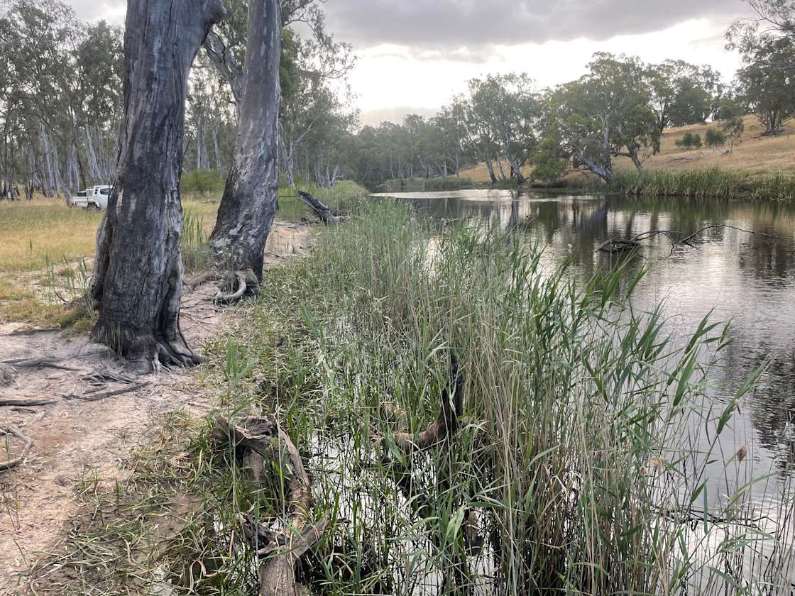 Mount Yulong - Hipcamp in Balmoral, Victoria