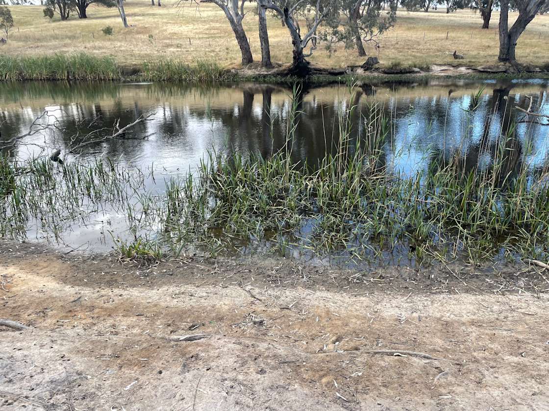Mount Yulong - Hipcamp in Balmoral, Victoria