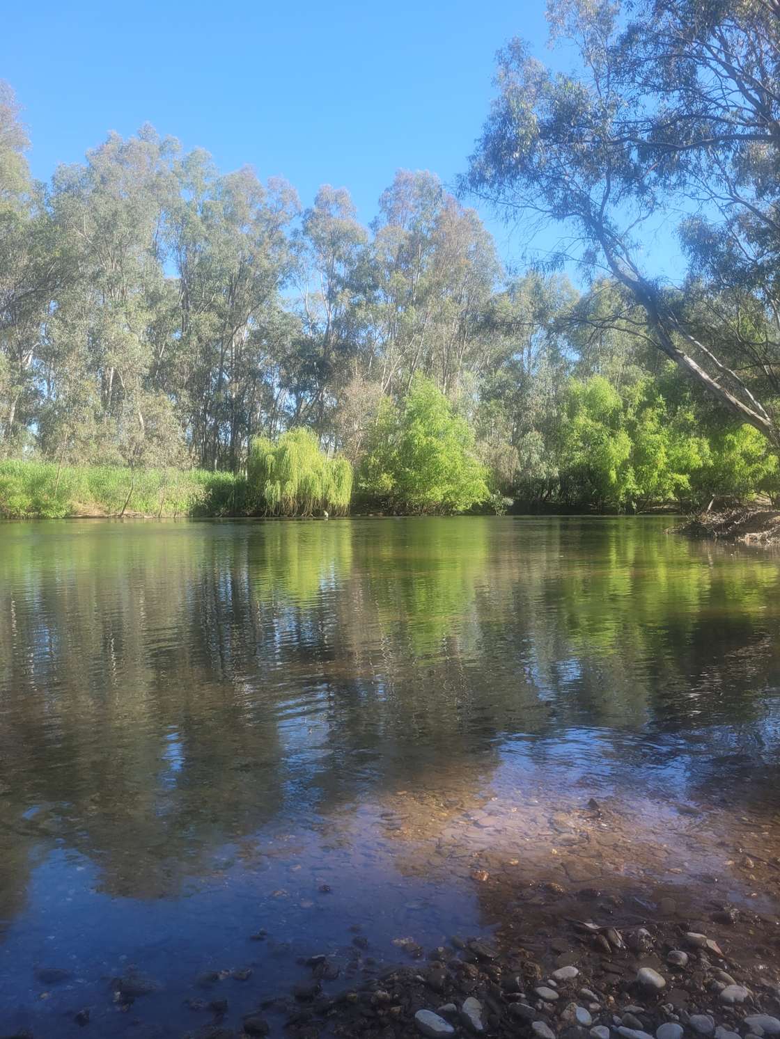 Willowood - Hipcamp in Markwood, Victoria