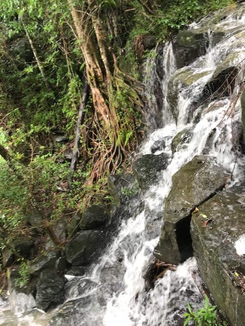 Oakey Ridge - Hipcamp in Georgica, New South Wales