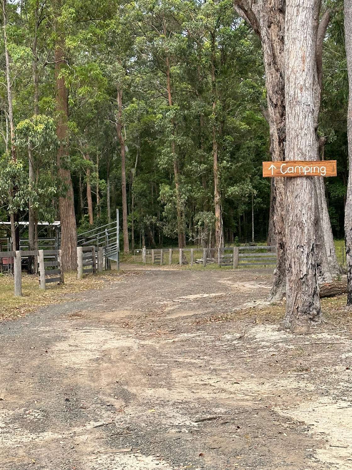Crockers Creek Hideaway Farm - Hipcamp in Minimbah, New South Wales