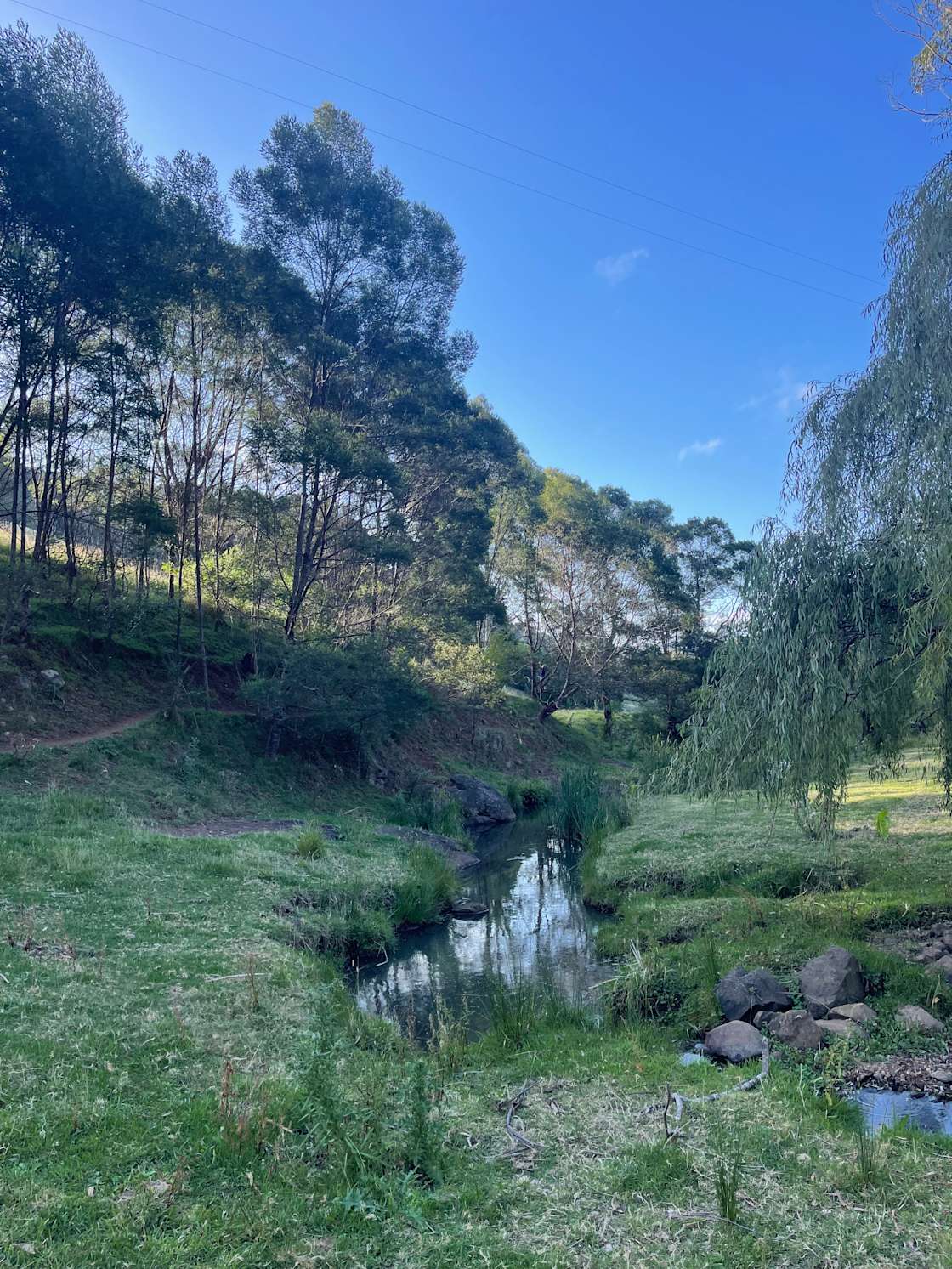 Rewild Farm - Hipcamp in Nethercote, New South Wales