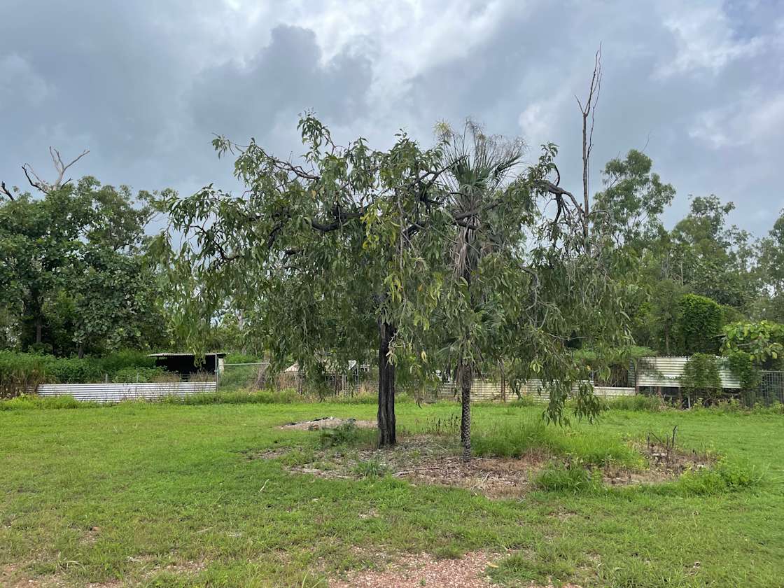 Tumbling Waters Farm Stay - Hipcamp in Humpty Doo, Northern Territory