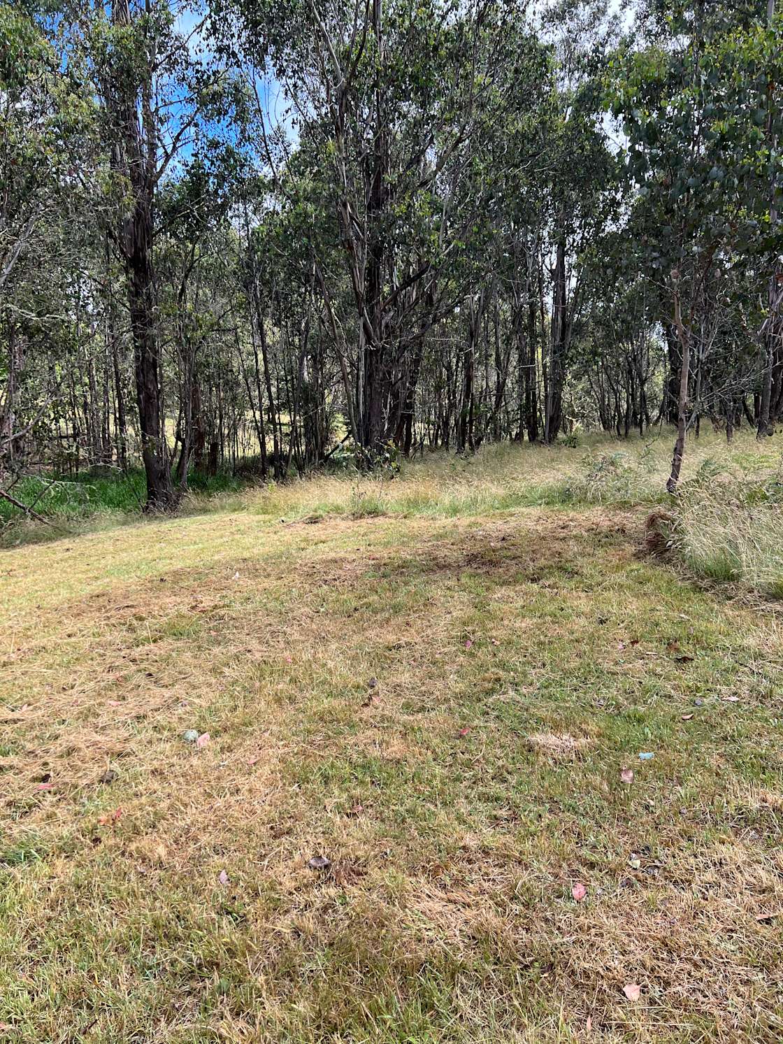 Alpine Breeze - Hipcamp in Tolmie, Victoria