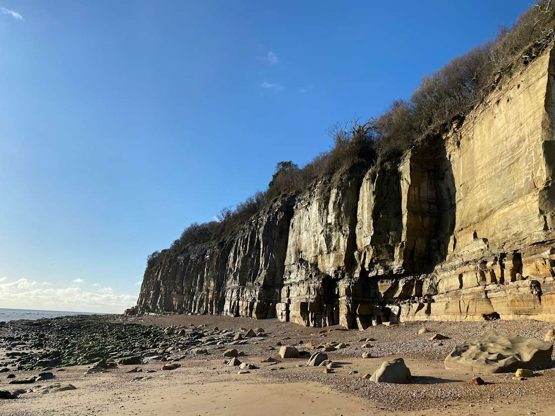 Pett Camping - Hipcamp in Rye, England