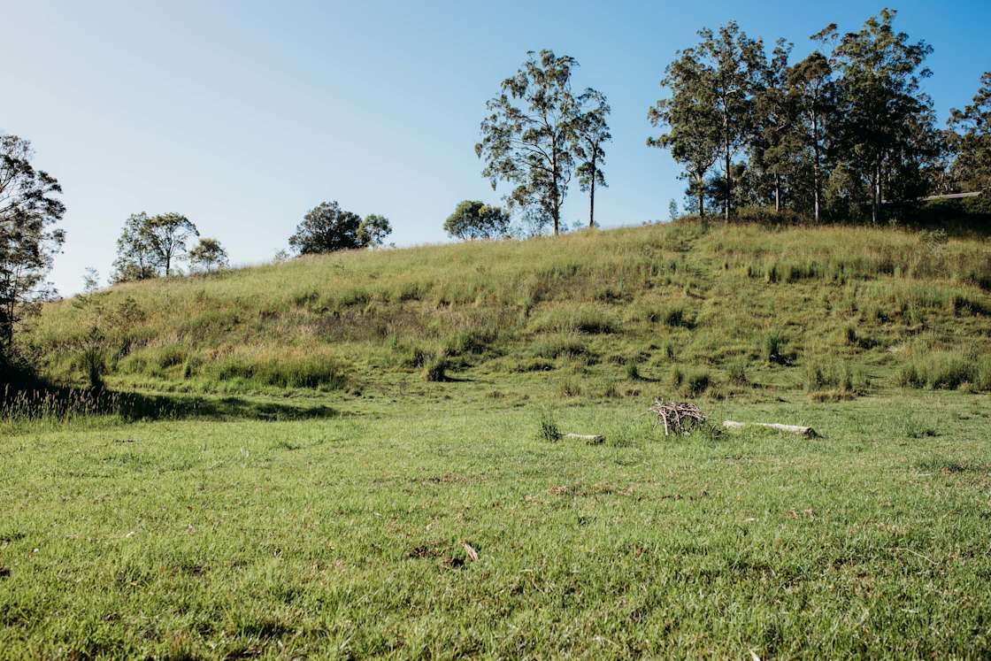 Mimi Valley, Krambach - Hipcamp in Krambach, New South Wales