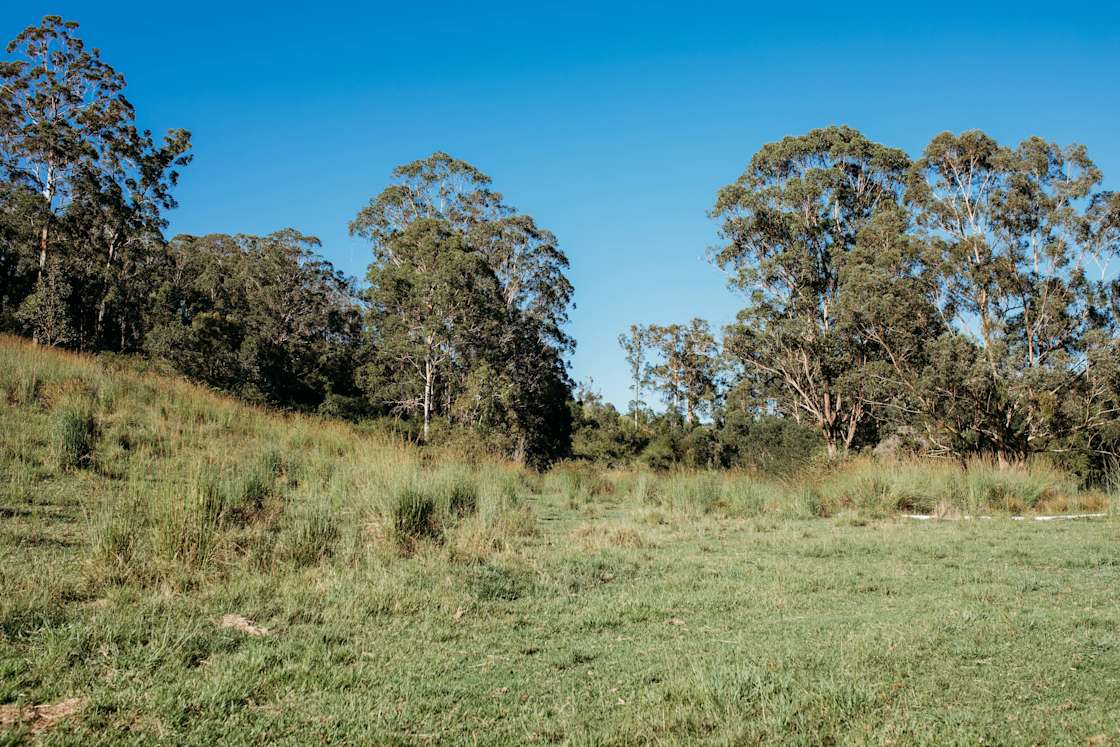 Mimi Valley, Krambach - Hipcamp in Krambach, New South Wales