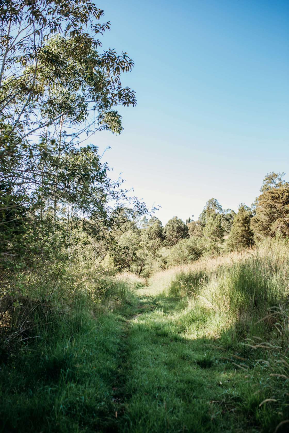 Mimi Valley, Krambach - Hipcamp in Krambach, New South Wales
