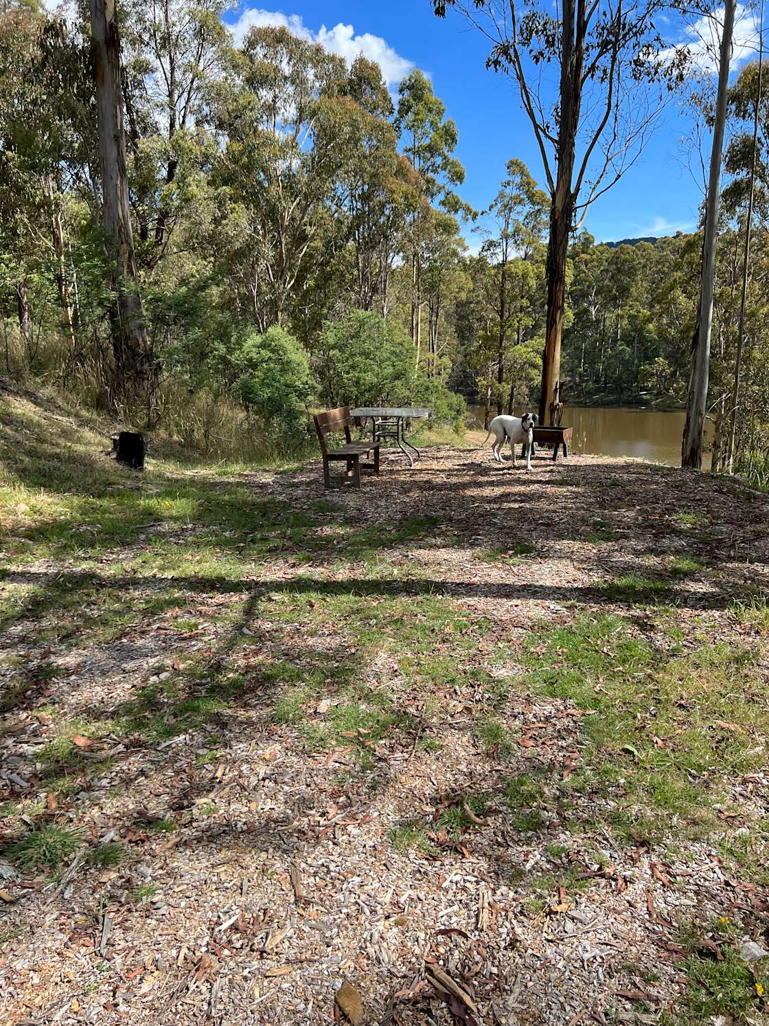 Alpine Breeze - Hipcamp in Tolmie, Victoria