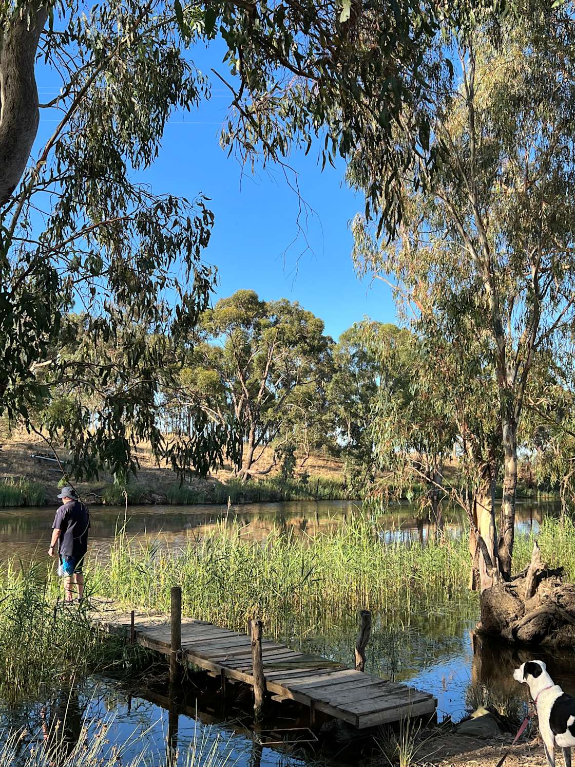 Loddon River Park - Hipcamp in Bendigo, Victoria