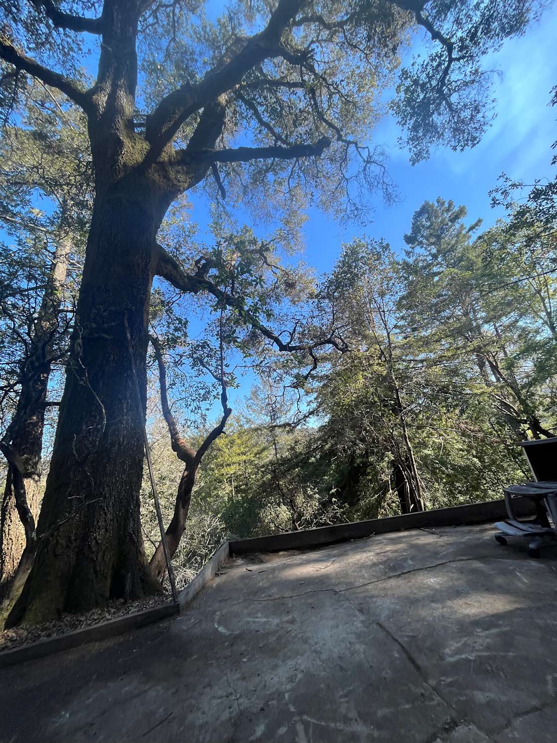 Mountain Home - Hipcamp in Soquel, California