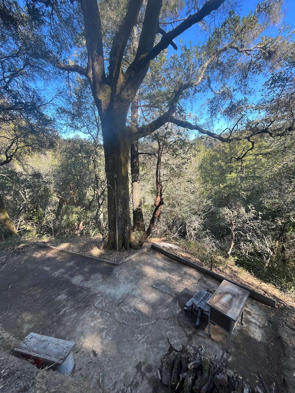 Mountain Home - Hipcamp in Soquel, California