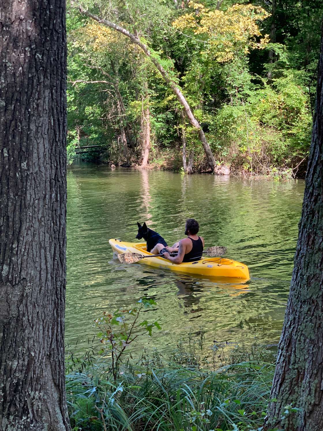 Prices Bridge Inn & Campgrounds - Hipcamp in Batesburg Leesville, South ...