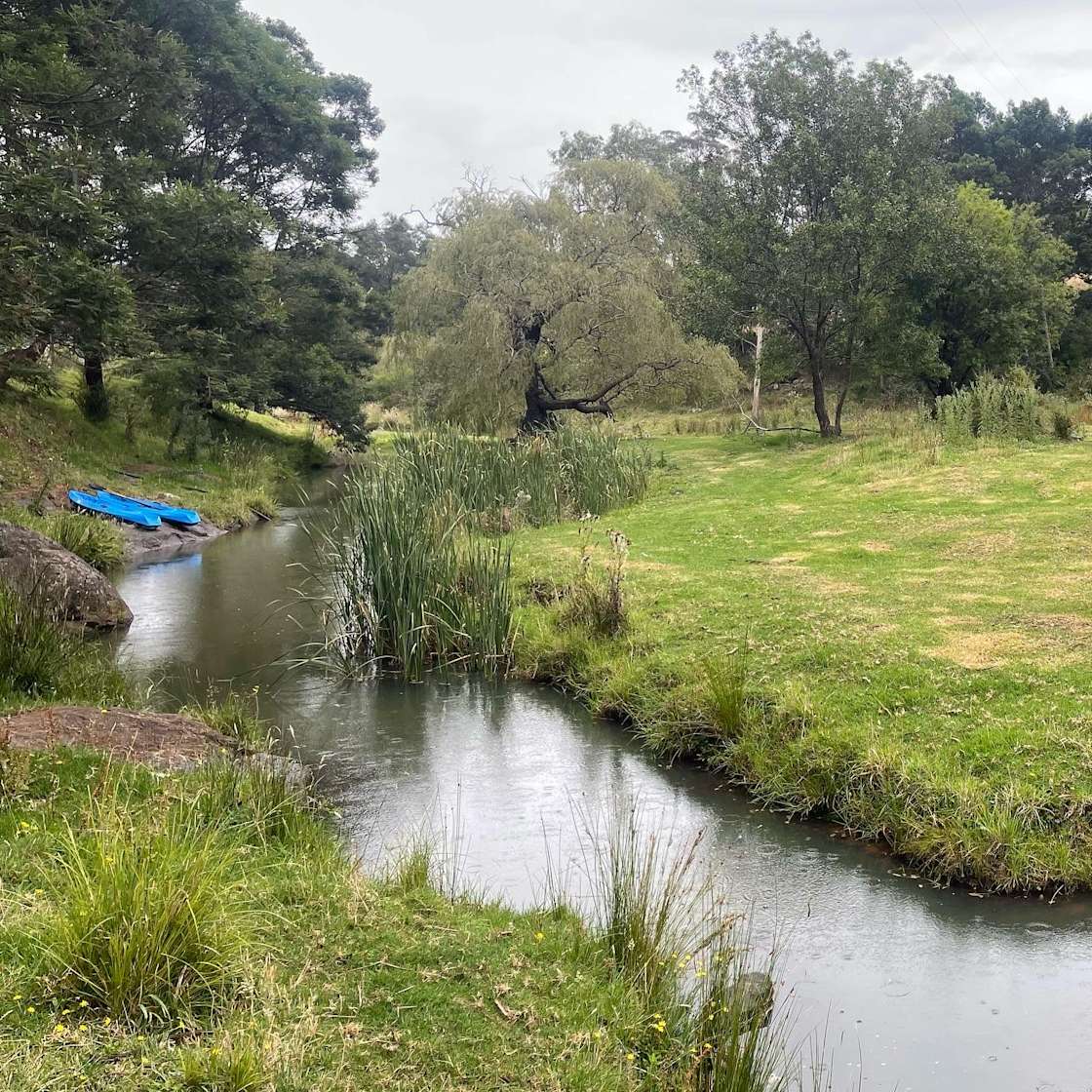 Rewild Farm - Hipcamp in Nethercote, New South Wales