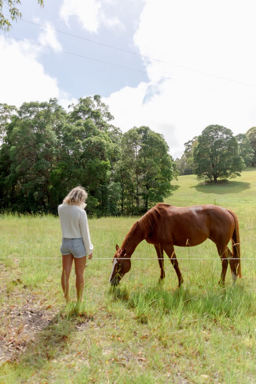 Mapleton Farm Retreat cottages - Hipcamp in Coolabine, Queensland