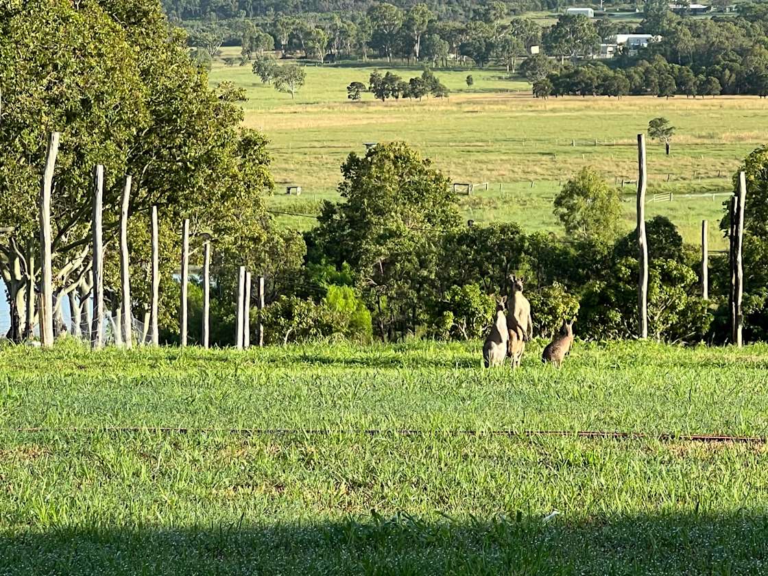 Valley View Farm - Hipcamp in Yeppoon, Queensland