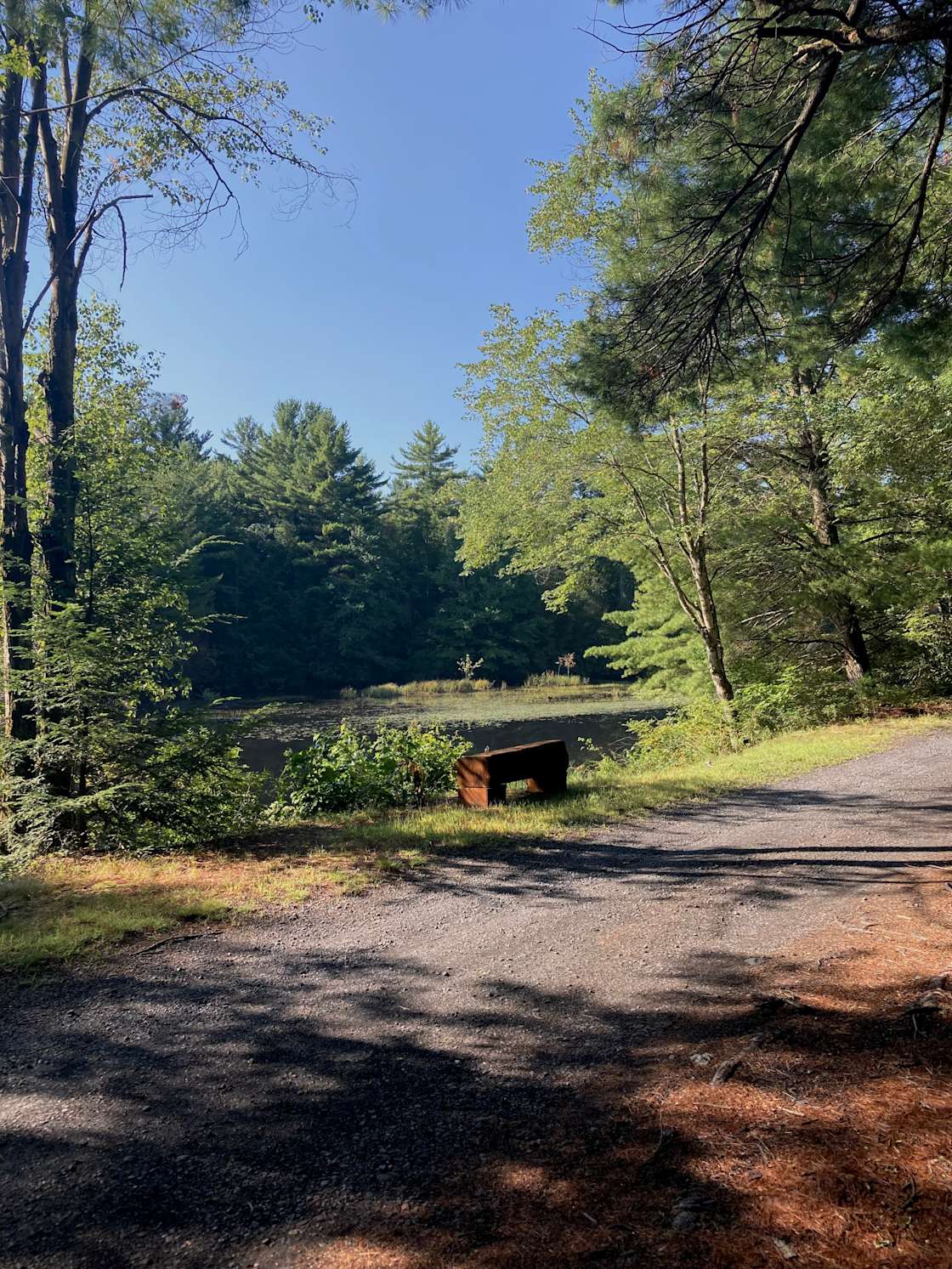 RoundStone - Hipcamp in Weatherly, Pennsylvania
