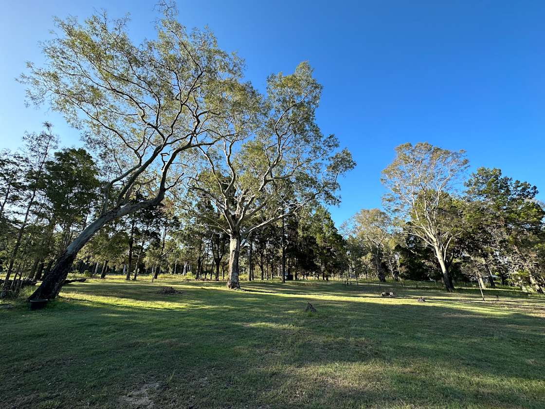 Knight Ranch - Hipcamp in Beachmere, Queensland