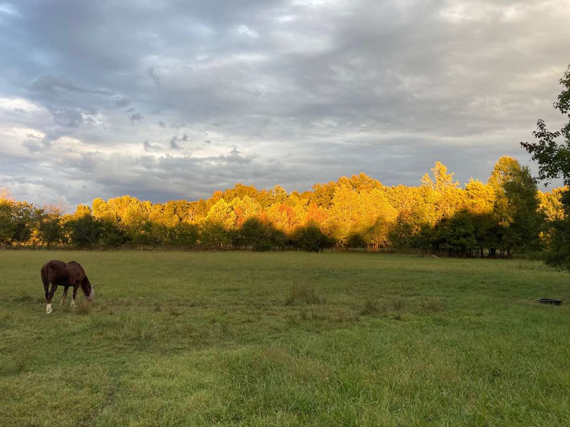 Ancient Spring Farm - Hipcamp in Snow Camp, North Carolina