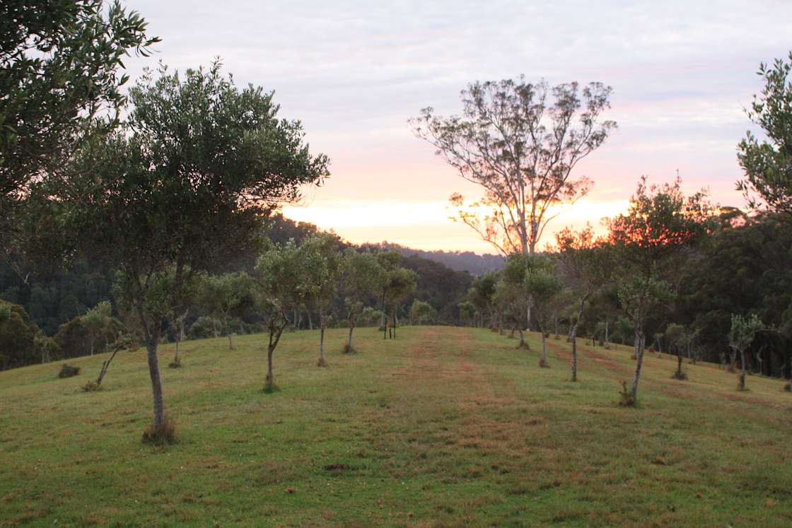 Pepper’s Farmstay South Coast - Hipcamp in Bega, New South Wales