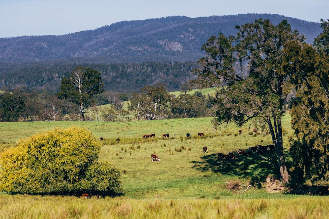 Hidden River Valley, Buckenbowra - Hipcamp in Buckenbowra, New South Wales