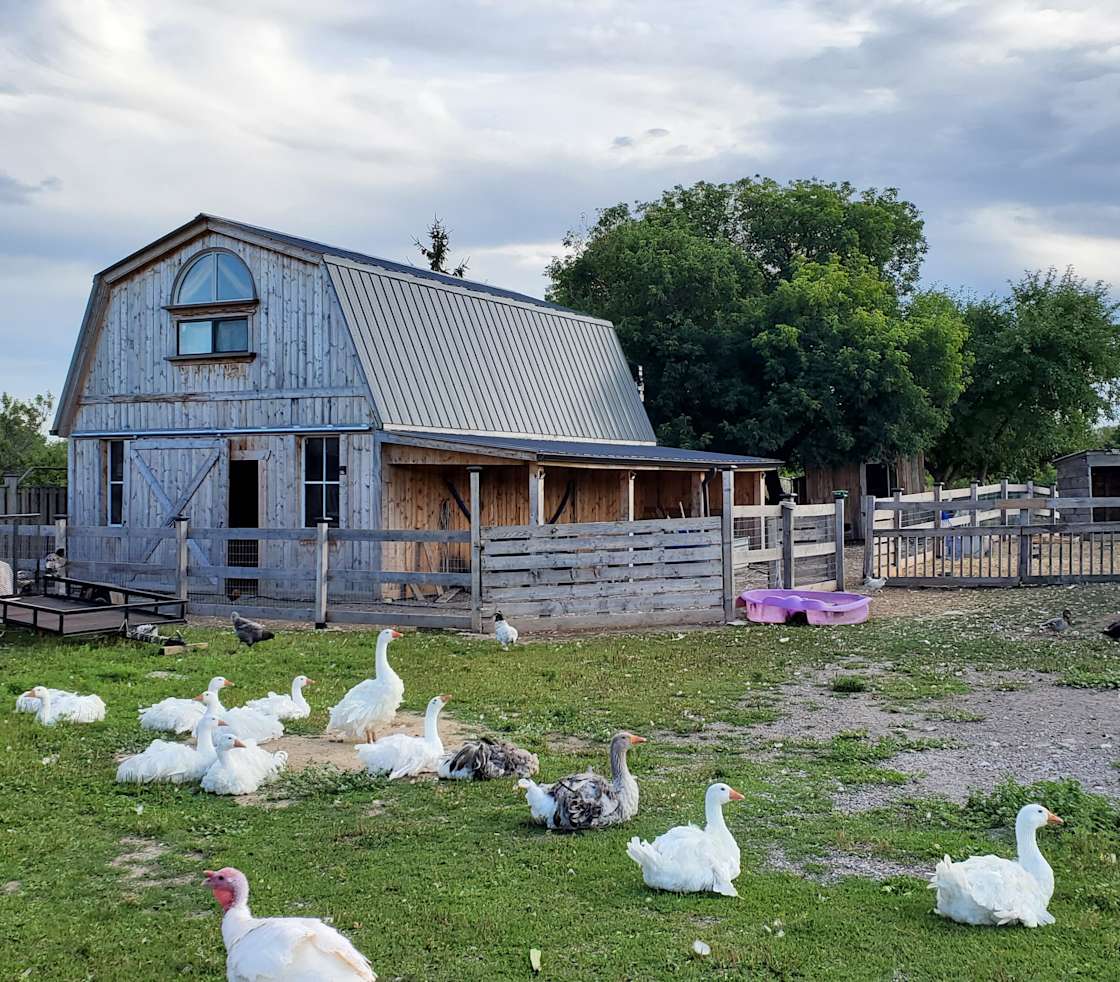 Grindstone Creek Farm in Burlington - Hipcamp in Burlington, Ontario