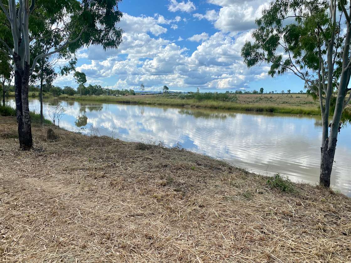 Hectic Valley Farm - Hipcamp in , Queensland
