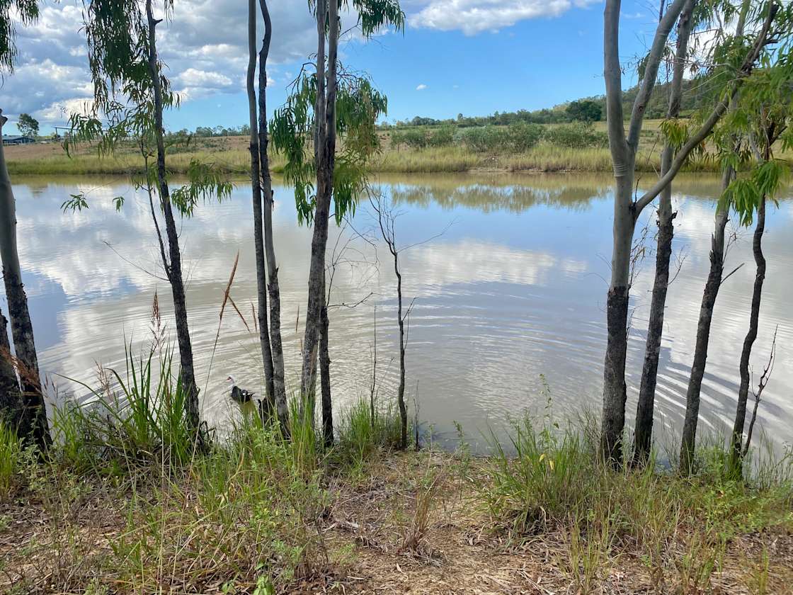 Hectic Valley Farm - Hipcamp in , Queensland