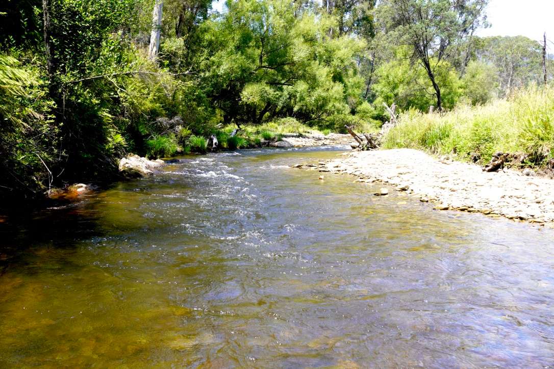 High Country Gold - Hipcamp in Smoko, Victoria
