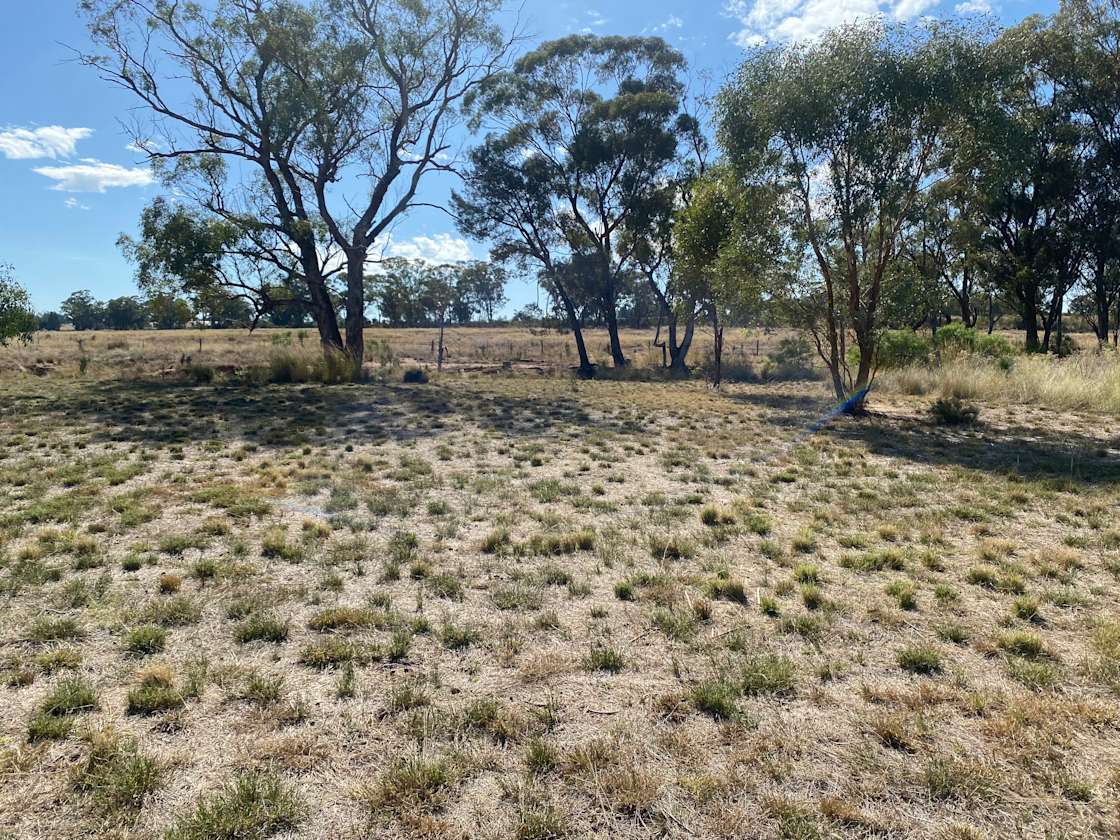 KANGAROO CREEK CAMP DUBBO - Hipcamp in Dubbo, New South Wales