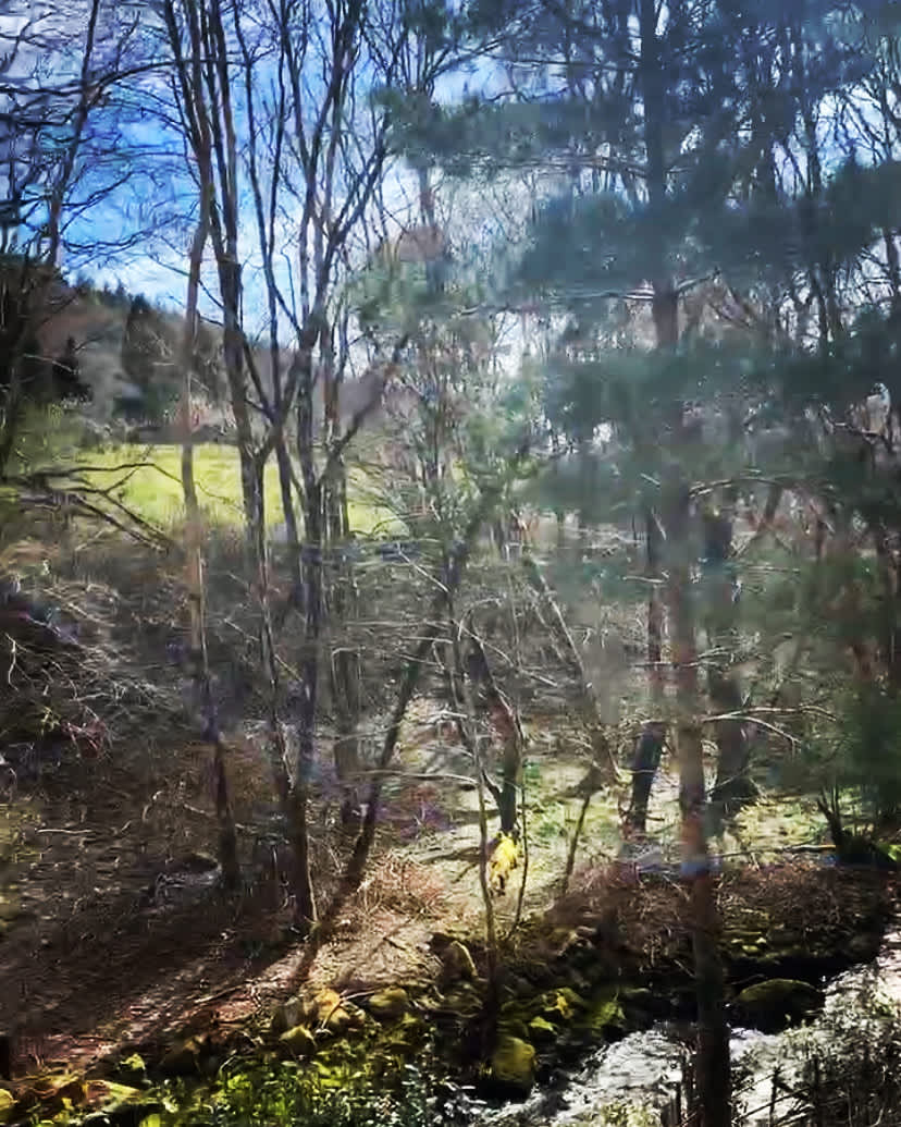 Dolfriog Hall - Hipcamp in Beddgelert, Wales