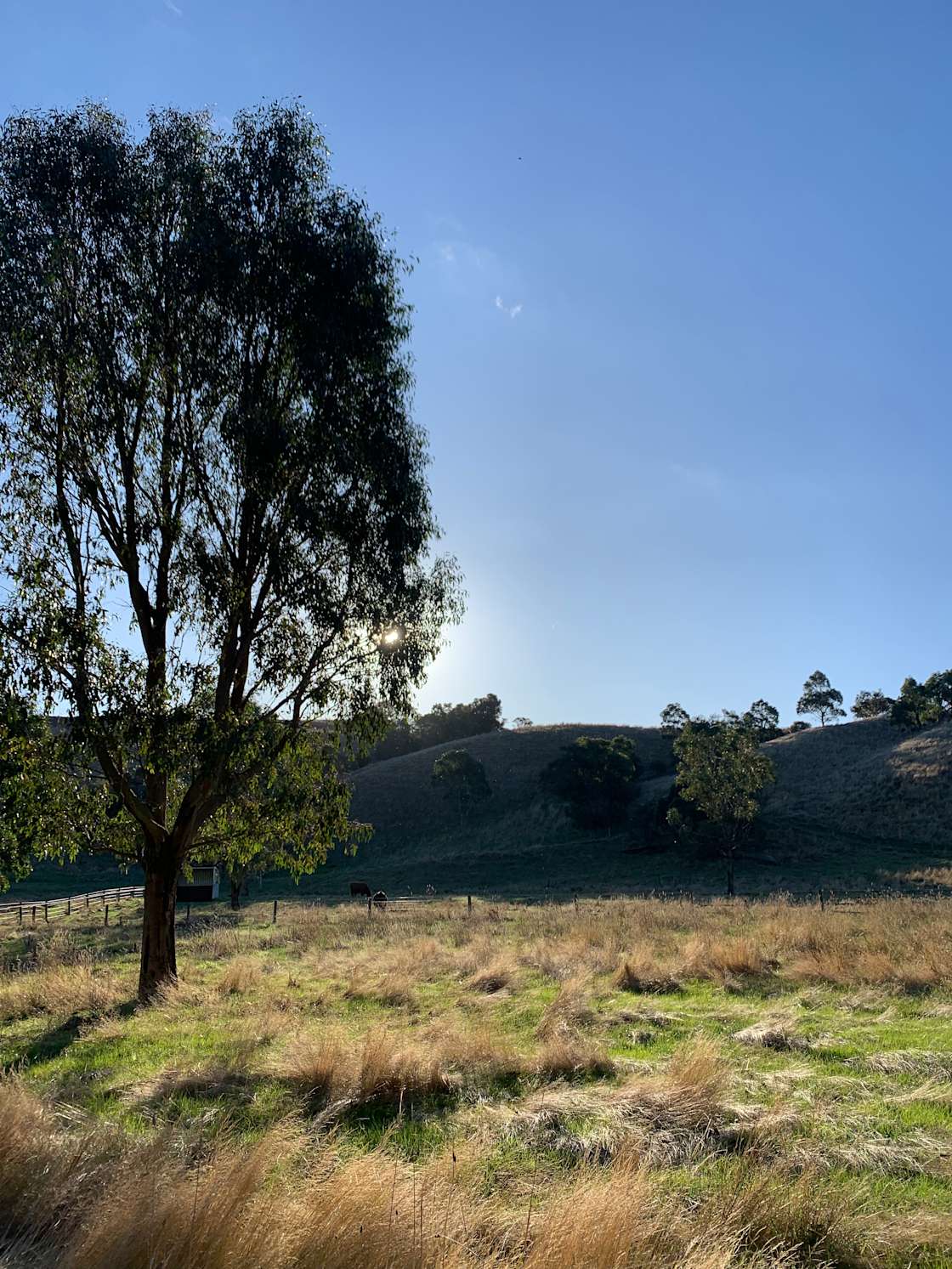 Two Miles Farm - Hipcamp in Romsey, Victoria