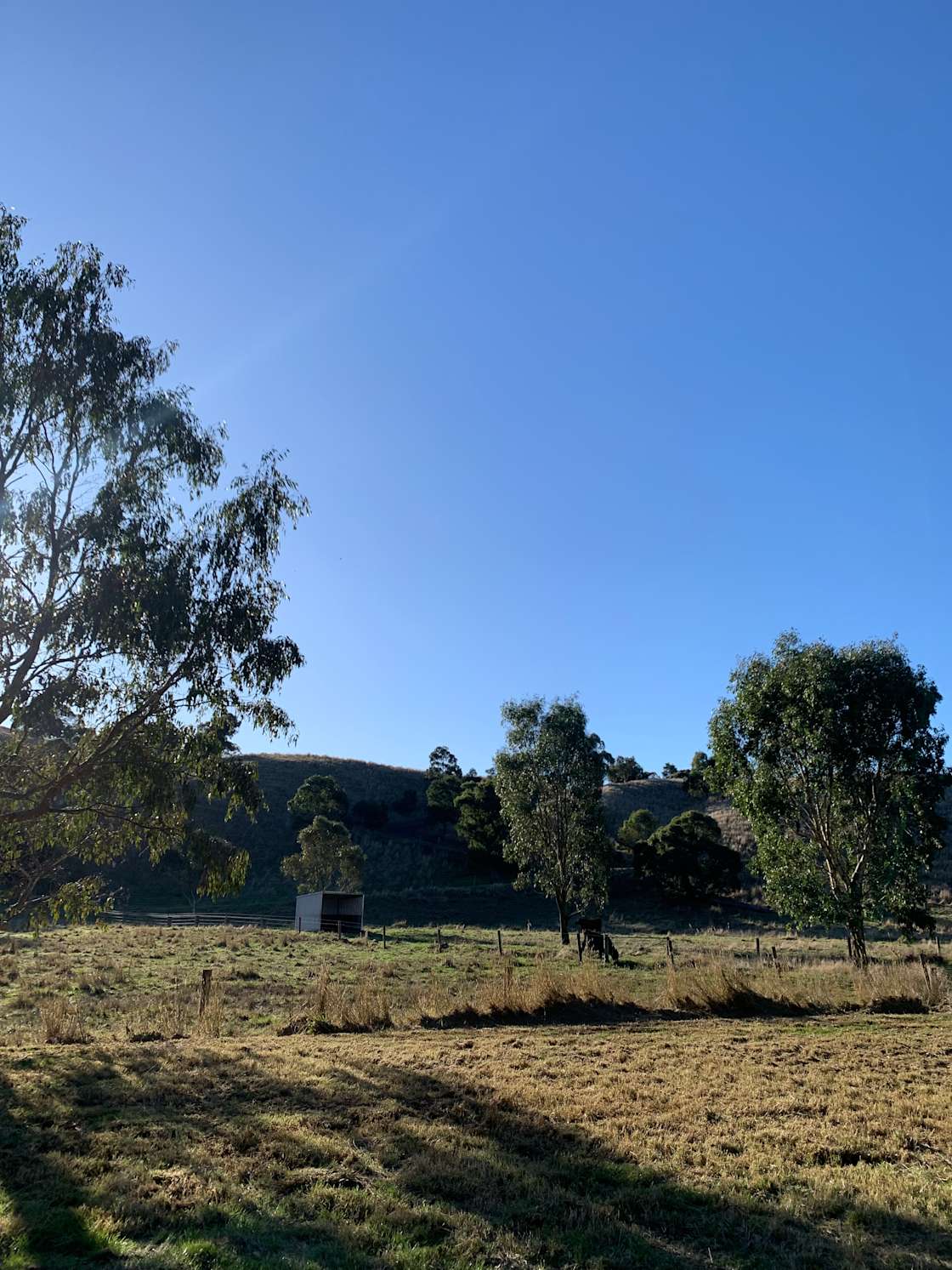 Two Miles Farm - Hipcamp in Romsey, Victoria