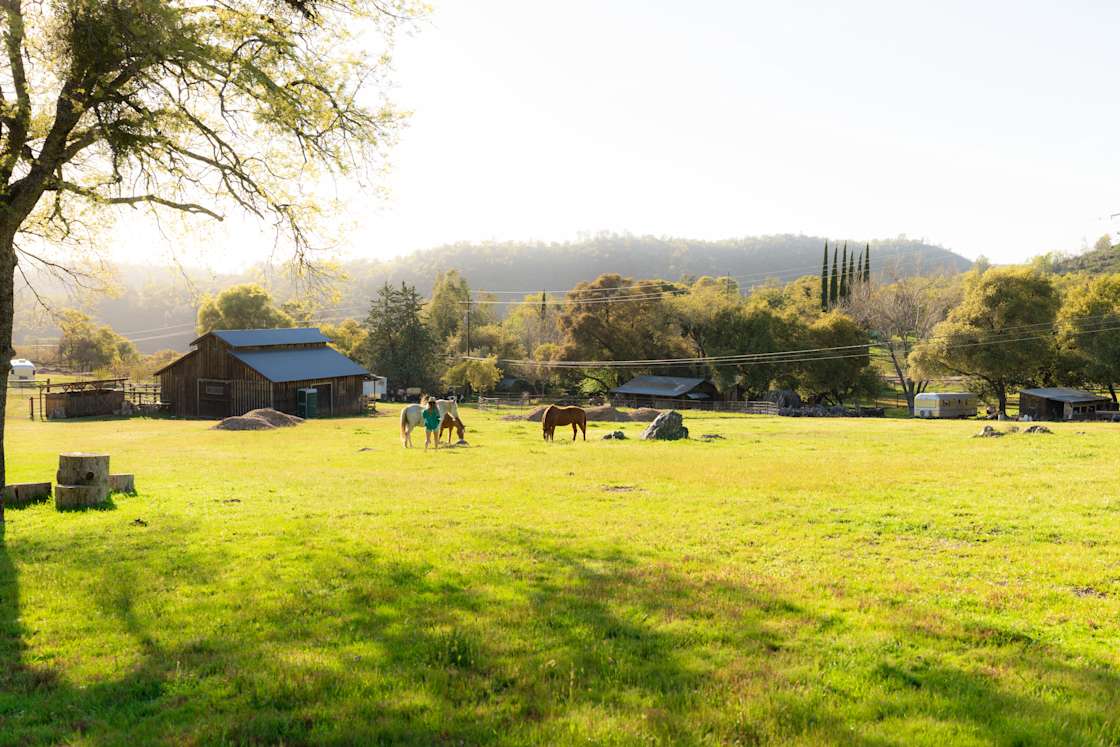 Big Table Ranch - Hipcamp in Coulterville, California
