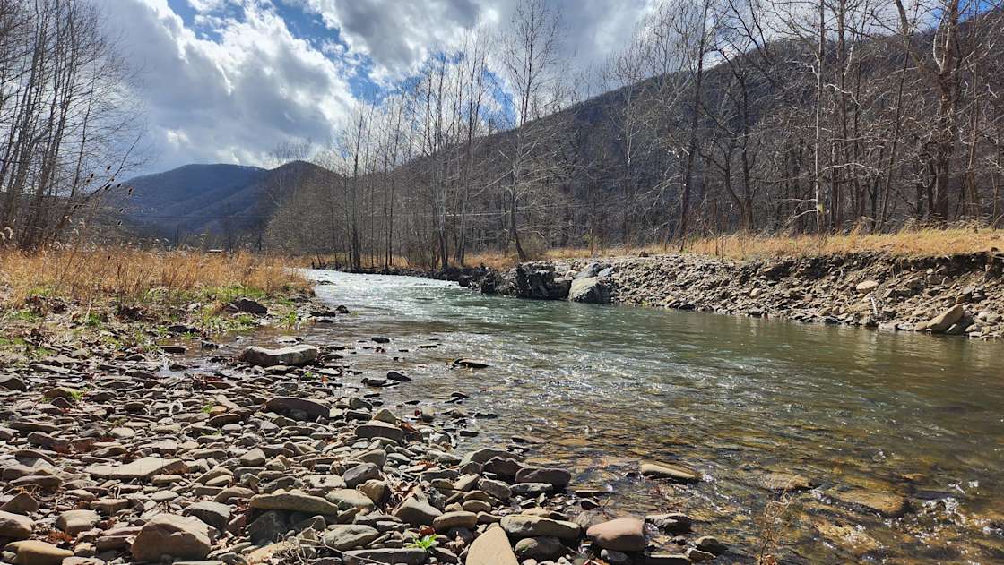 The Trout Camp - Hipcamp in Circleville, West Virginia