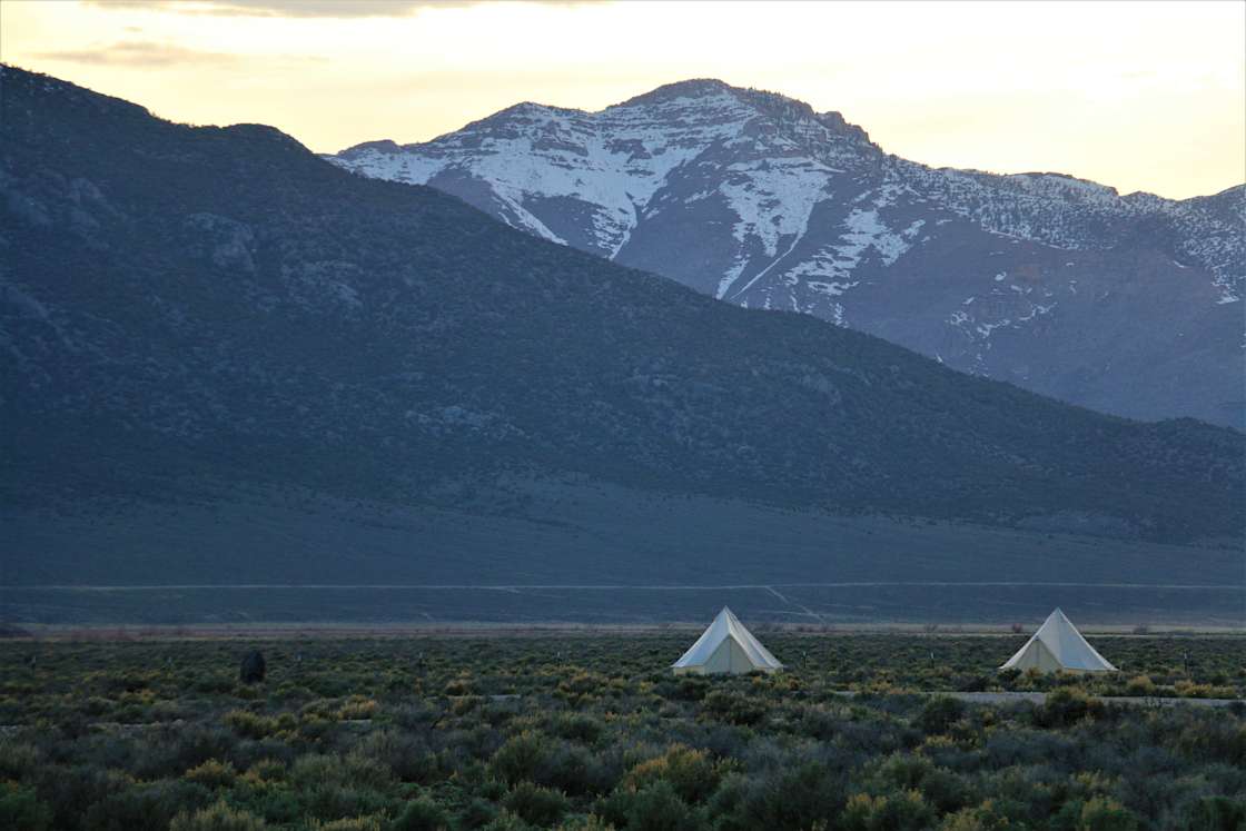 Schellraiser - Hipcamp in Mc Gill, Nevada