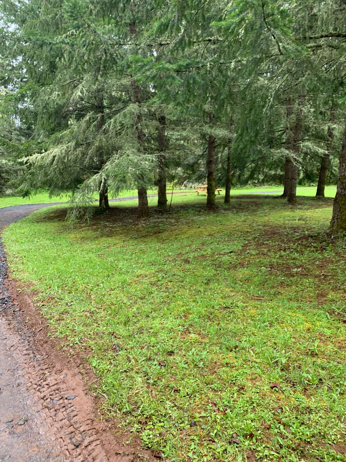 Springfield Oasis - Hipcamp in Springfield, Oregon