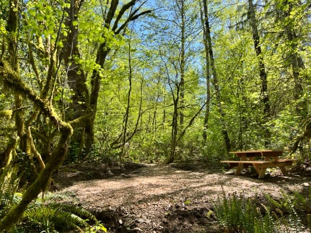 Cedar Groves Rural Campground - Hipcamp in Sedro Woolley, Washington